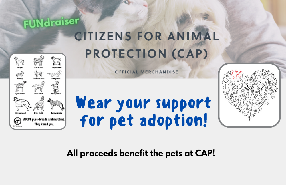 News & Events for Houston Pet Adoptions & Shelter at CAP